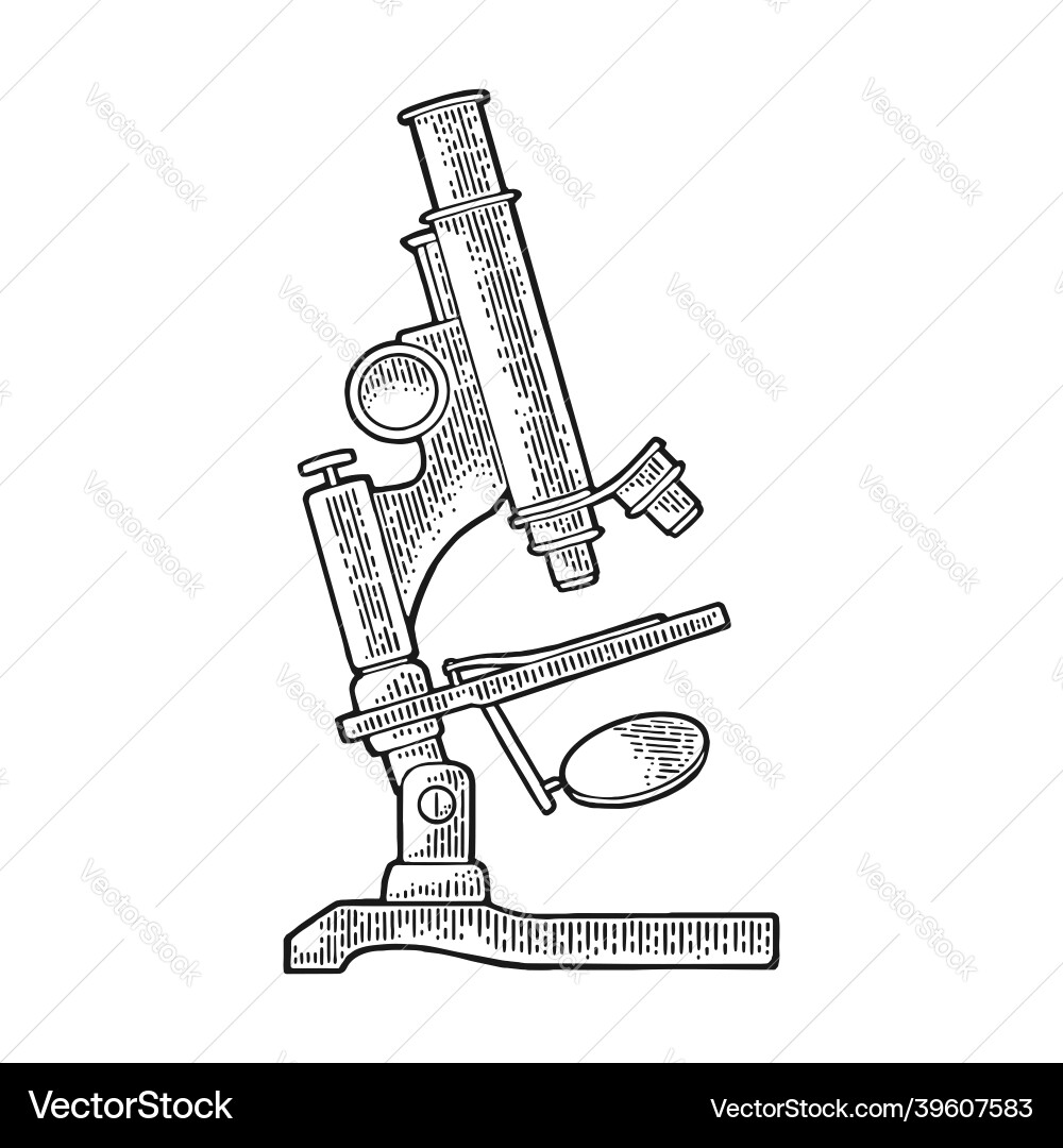 Microscope engraving vintage black Royalty Free Vector Image