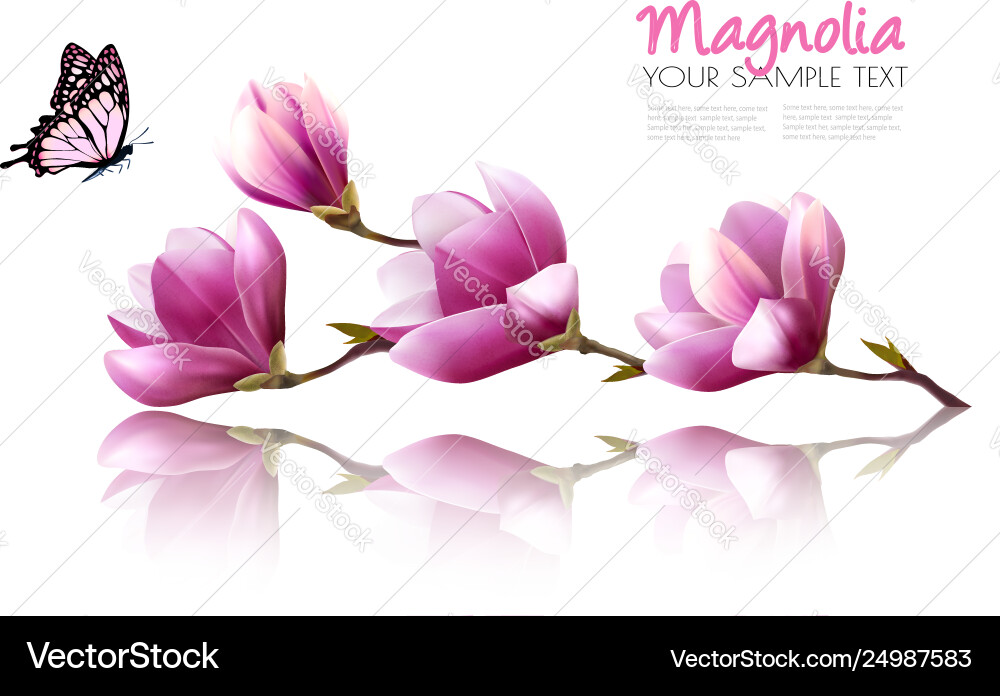 Nature background with pink magnolia Royalty Free Vector