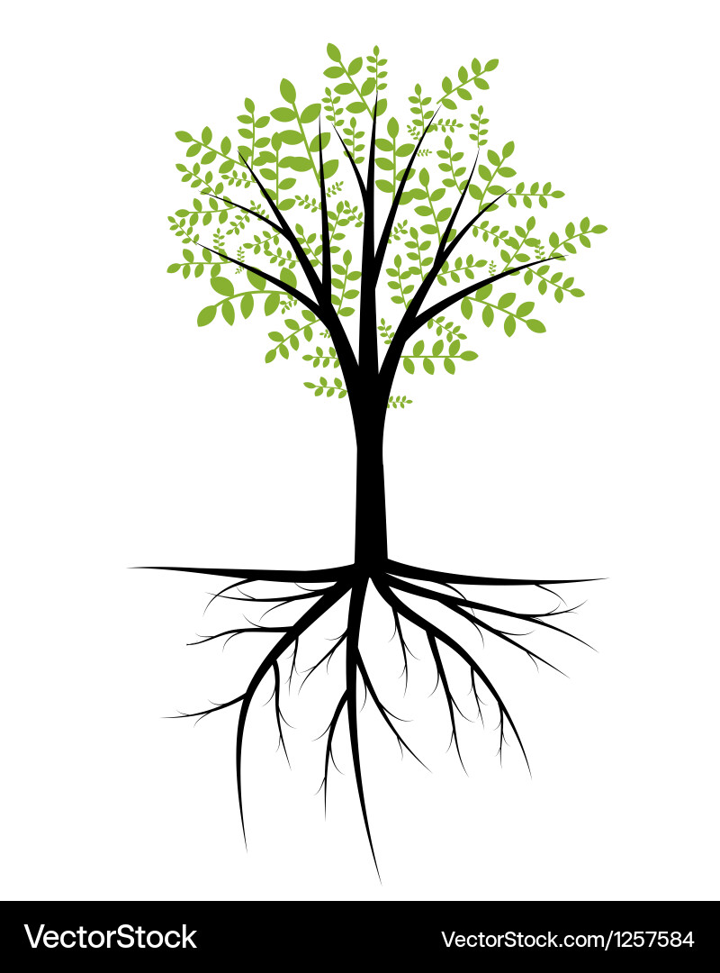 Decorative tree Royalty Free Vector Image - VectorStock