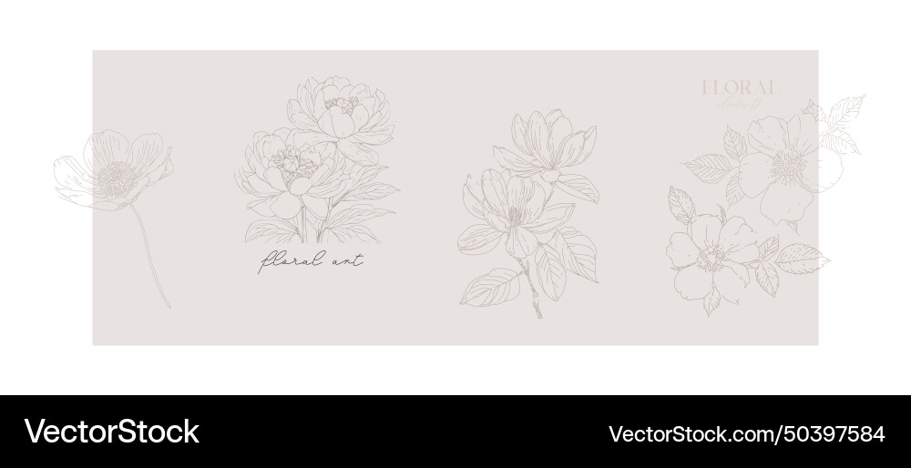 Floral header with peonies wild rose hip Vector Image