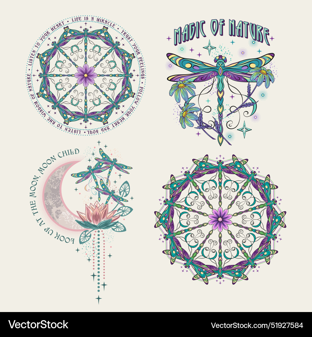 Mysterious labels with dragonfly chamomile moon Vector Image