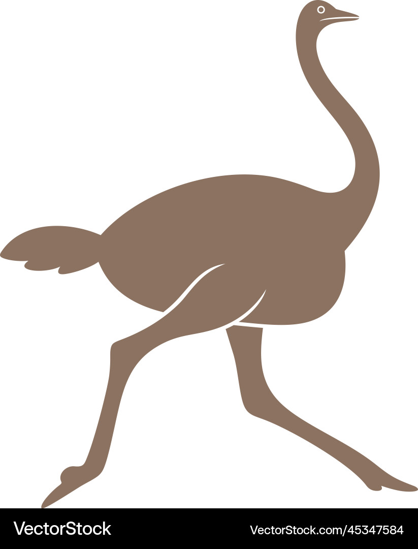 Ostrich Royalty Free Vector Image - VectorStock