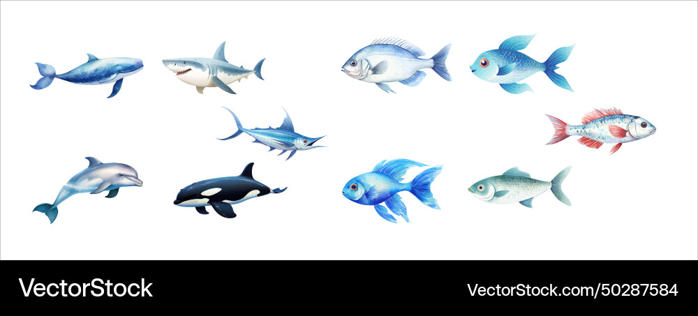 Realistic of various marine Royalty Free Vector Image