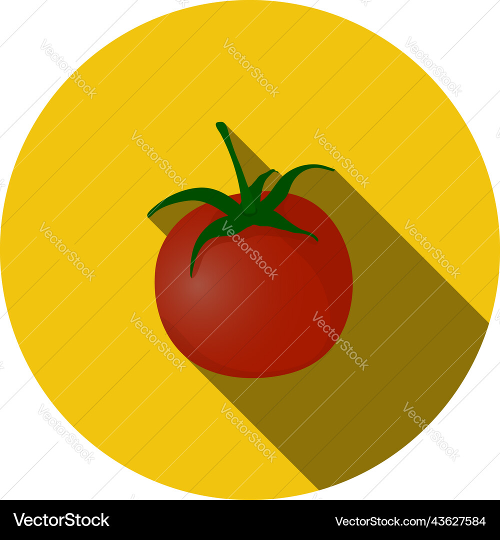 Tomatoes icon Royalty Free Vector Image - VectorStock