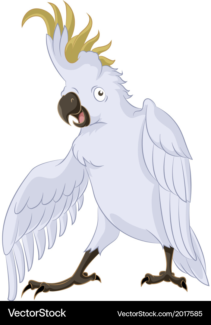 Cockatoo Royalty Free Vector Image - VectorStock