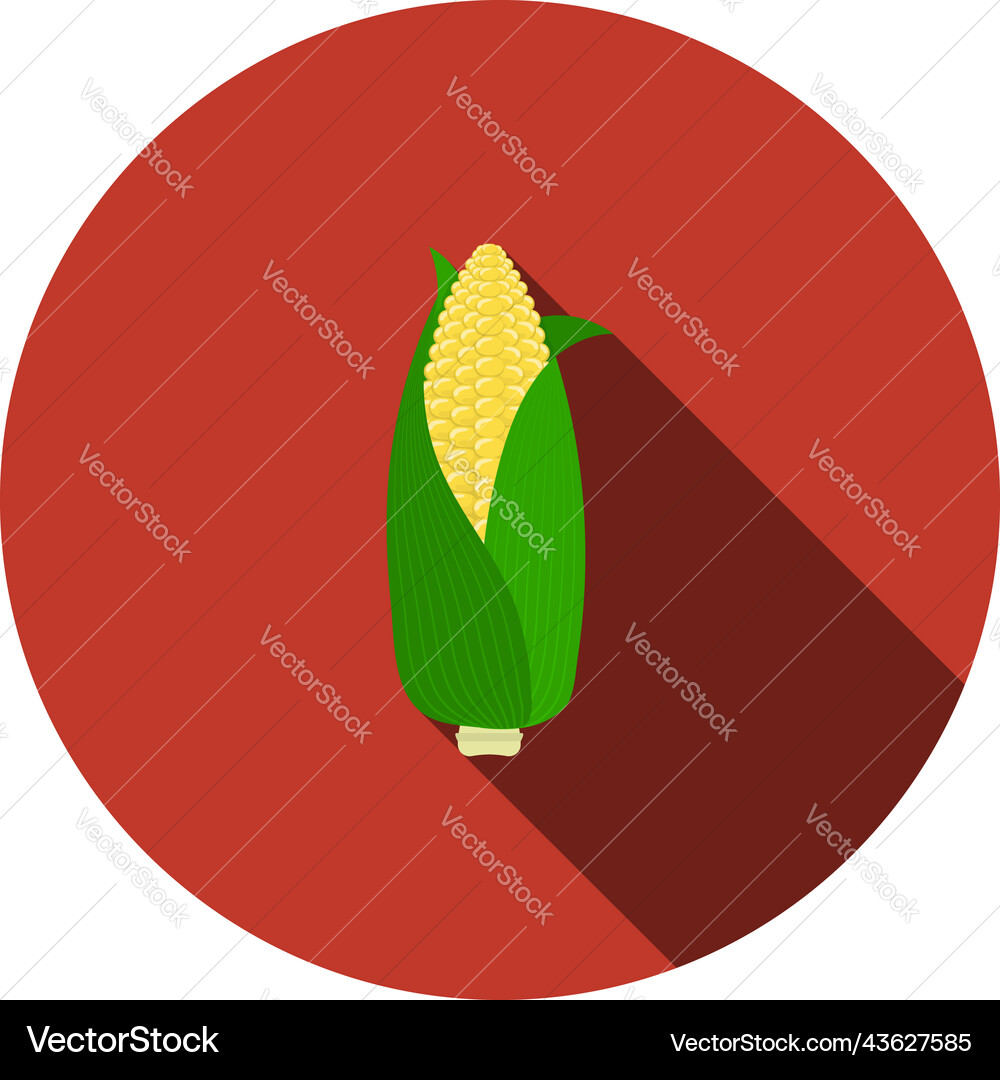 Corn icon Royalty Free Vector Image - VectorStock