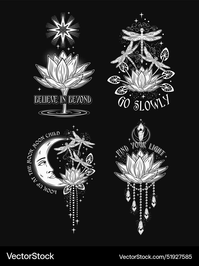 Mysterious labels with dragonfly lotus text Vector Image