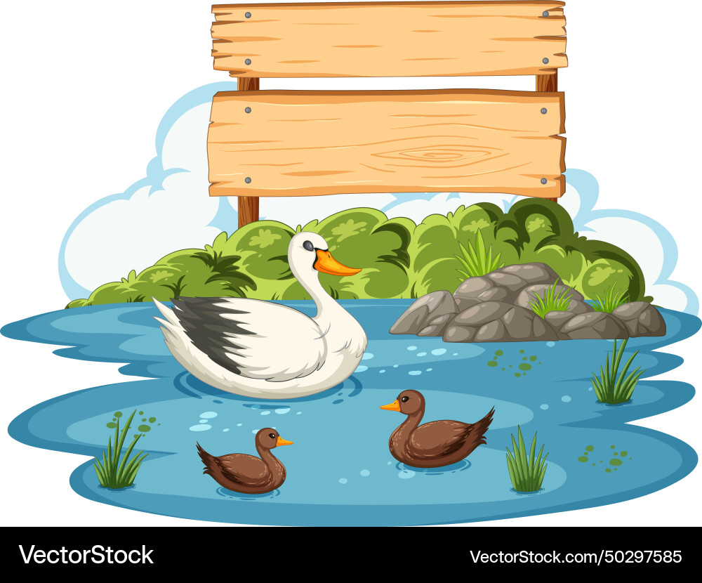 Swan and ducks in a tranquil pond setting Vector Image