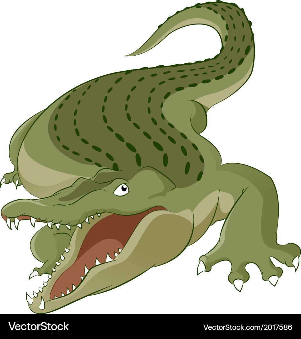 Crocodile Royalty Free Vector Image - VectorStock
