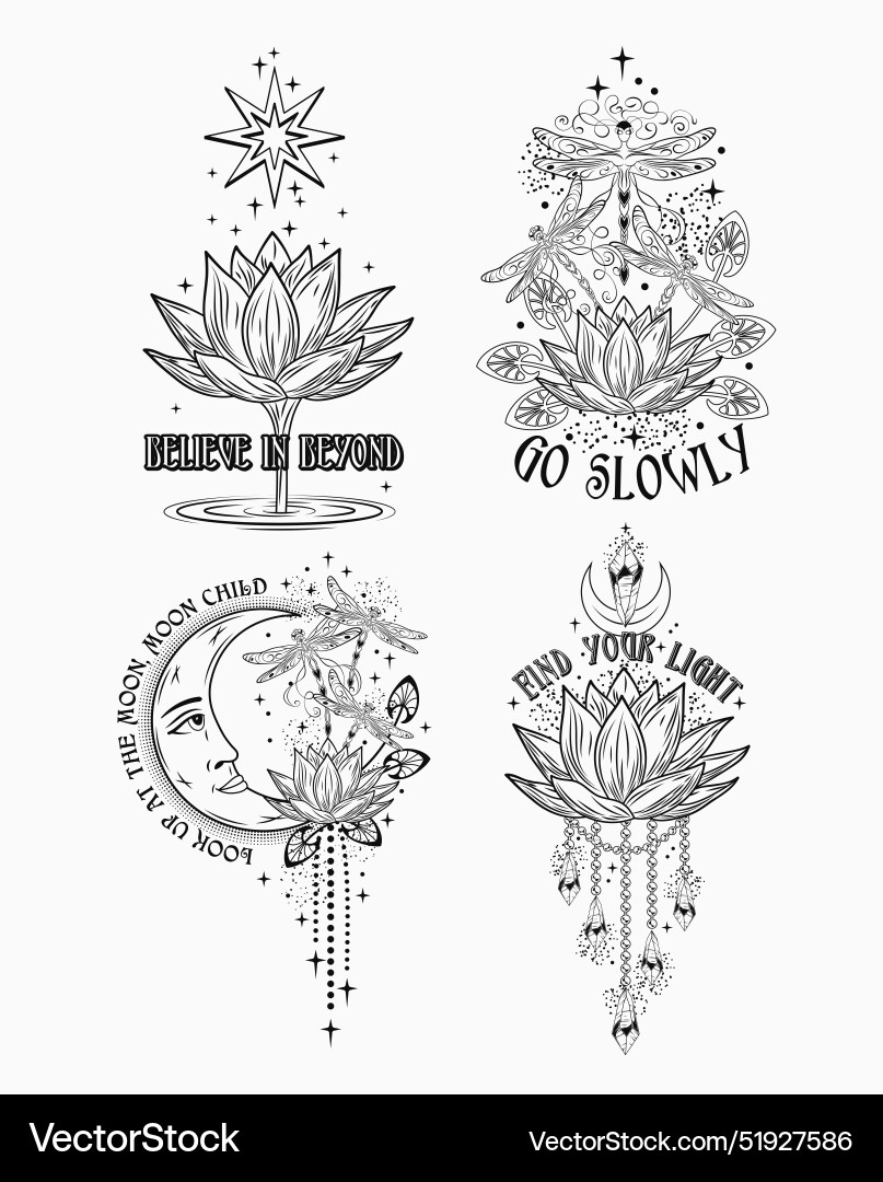 Mysterious labels with dragonfly lotus text Vector Image
