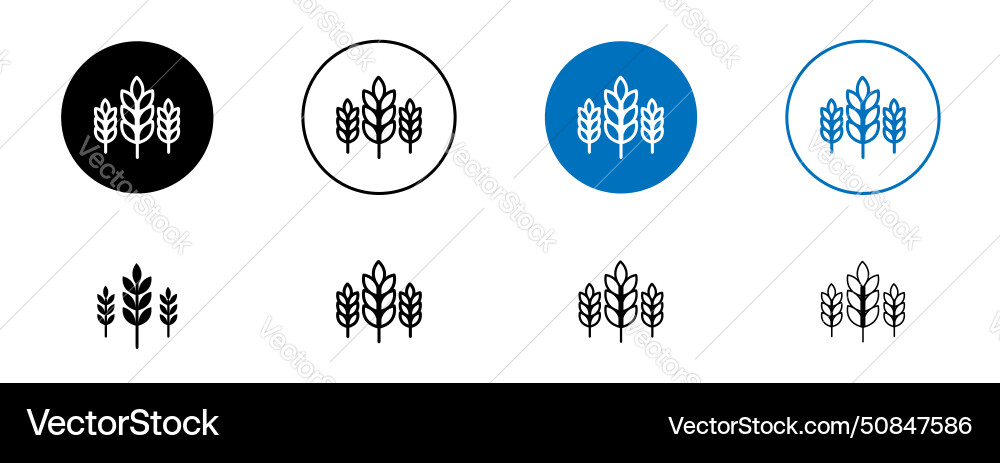 Wheat icon set barely and whole grain Royalty Free Vector