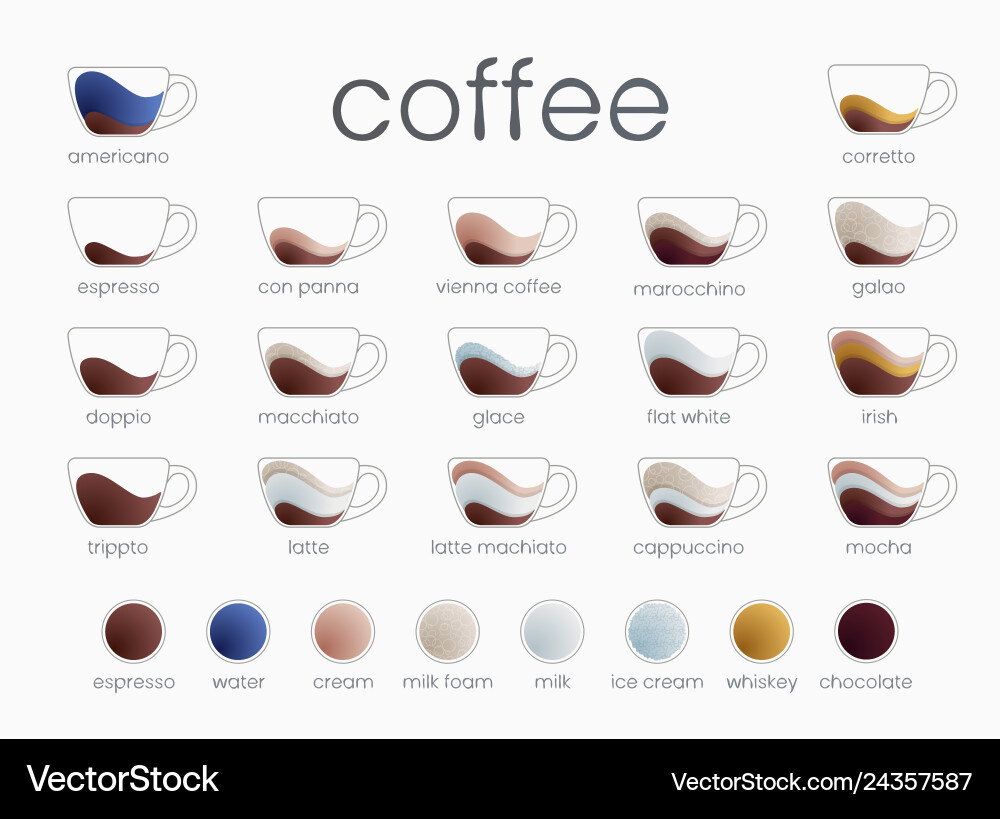 Infographic of coffee types house Royalty Free Vector Image