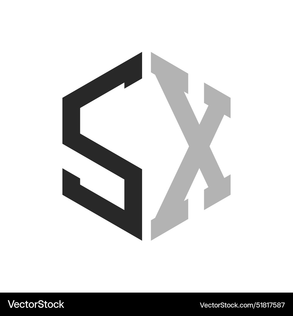 Modern unique hexagon letter sx logo design Vector Image