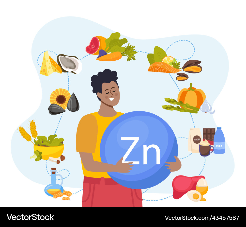 Zinc-Rich Foods Composition Royalty Free Vector Image