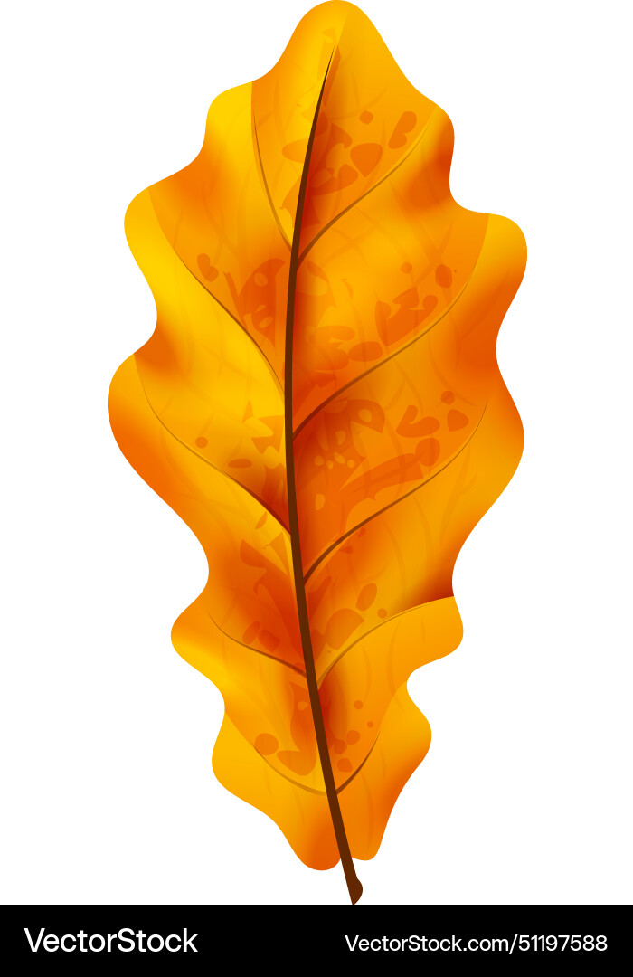 Orange leaf realistic autumn forest foliage Vector Image
