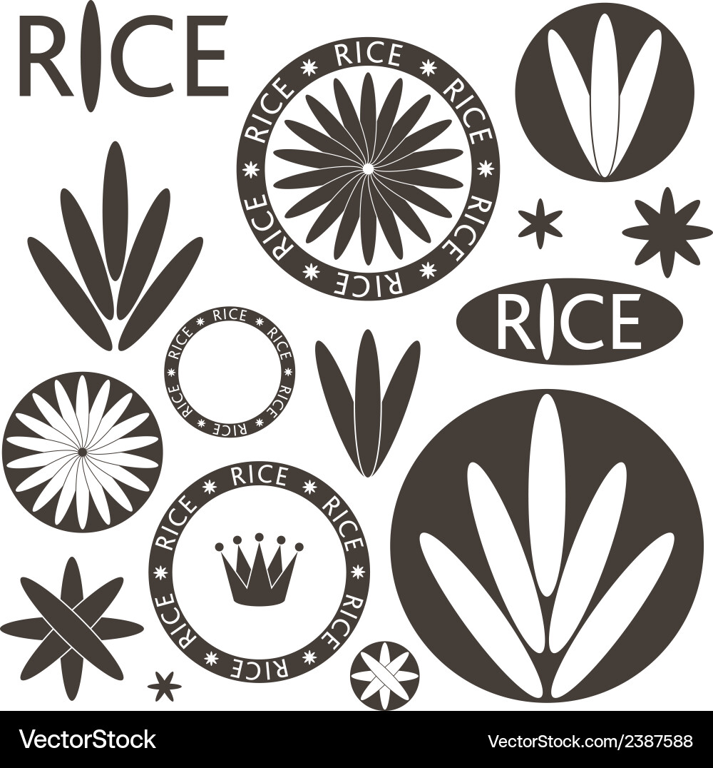 Rice set Royalty Free Vector Image - VectorStock