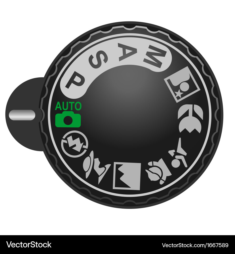 Dslr camera mode switch Royalty Free Vector Image