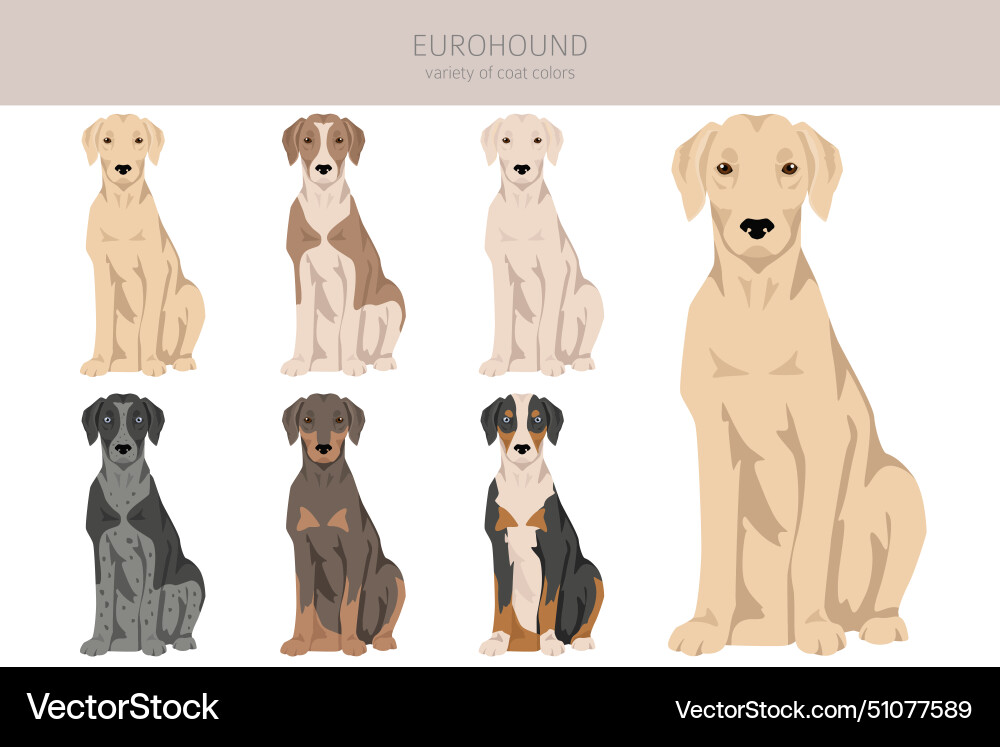 Eurohound 2 Royalty Free Vector Image - VectorStock