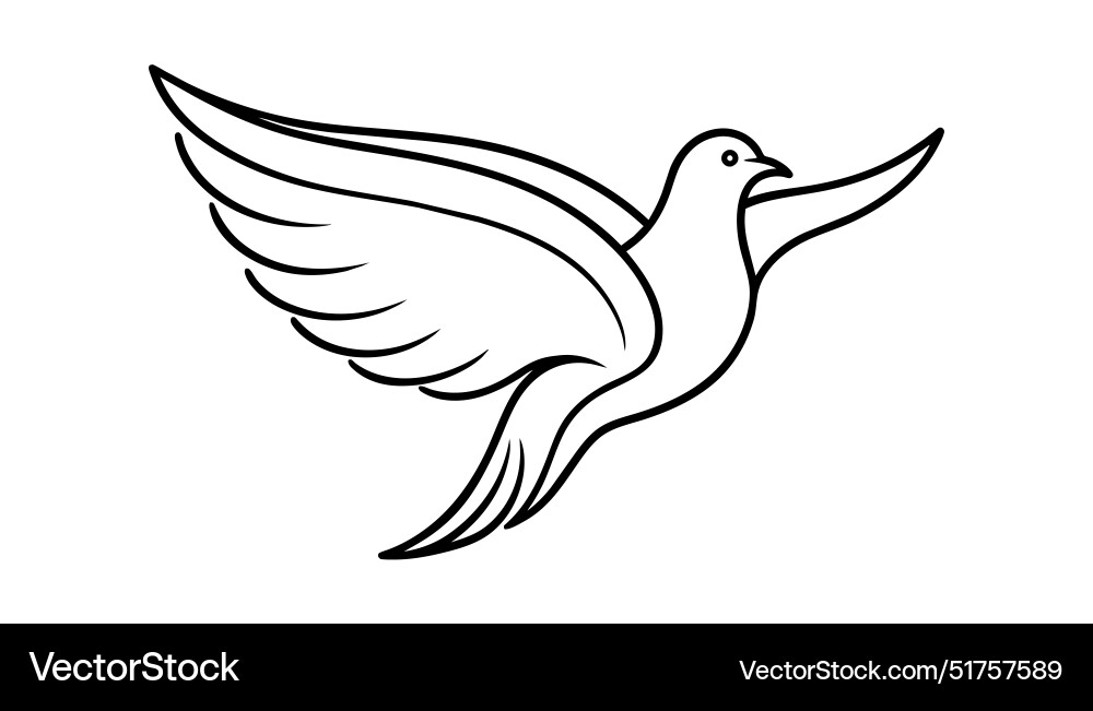 Flying dove one line continuous art on white Vector Image