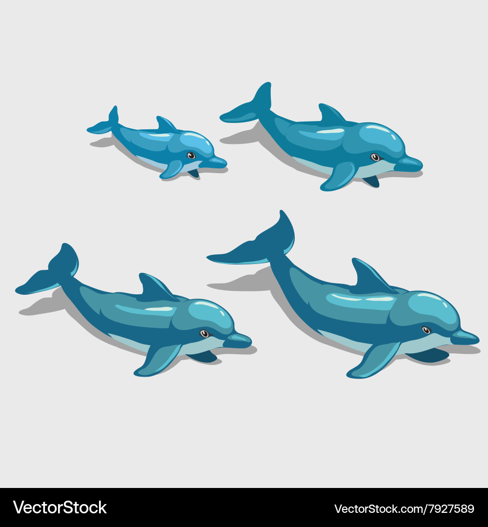 Four cartoon dolphin character for your design Vector Image