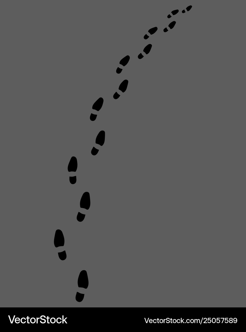 Trail shoes prints Royalty Free Vector Image - VectorStock