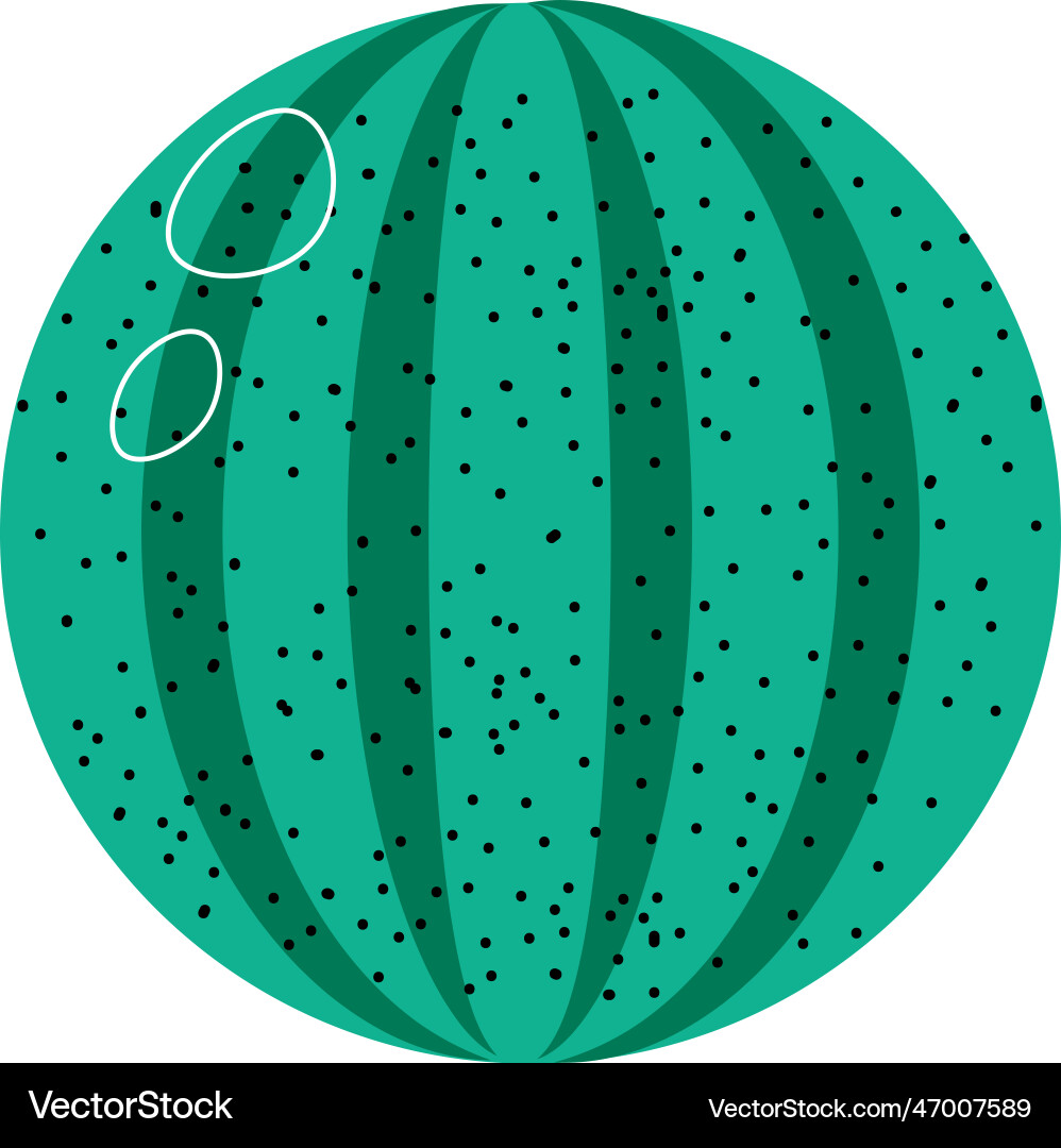 Whole watermelon exotic fruit ripe berry Vector Image