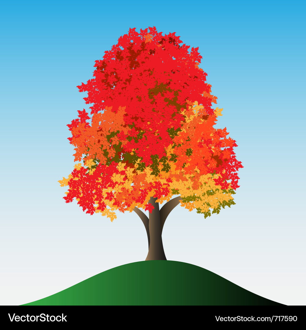 Colorful tree Royalty Free Vector Image - VectorStock