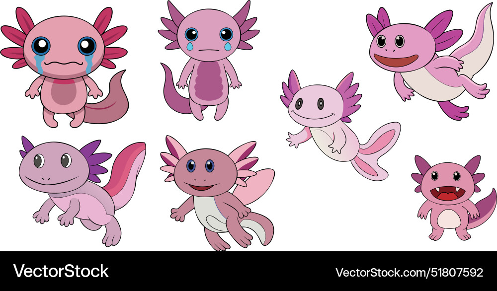 Axolotl design animal Royalty Free Vector Image