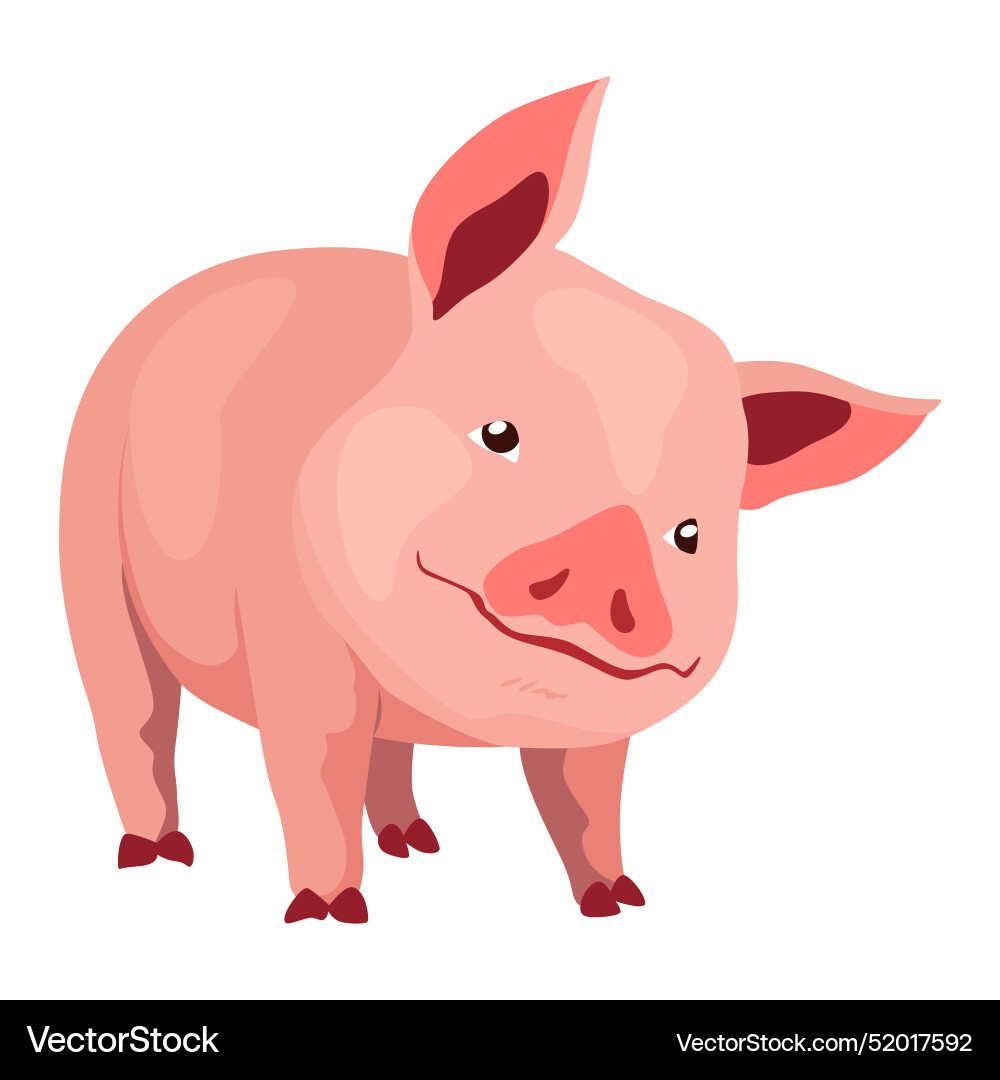 Pig set flat cartoon isolated on white background Vector Image