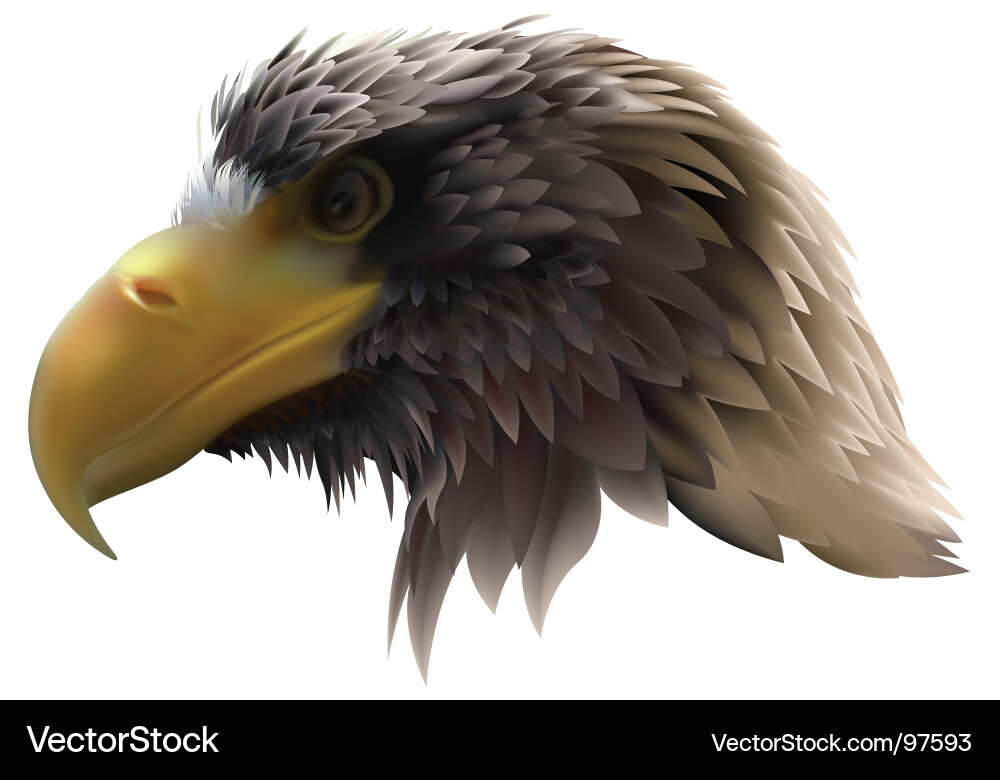 Goldener Adler Lizenzfreies Vektorbild - VectorStock