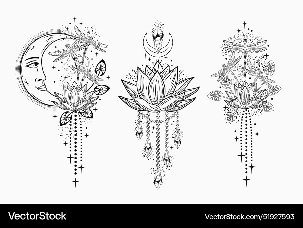 Mysterious labels with dragonfly lotus moon Vector Image