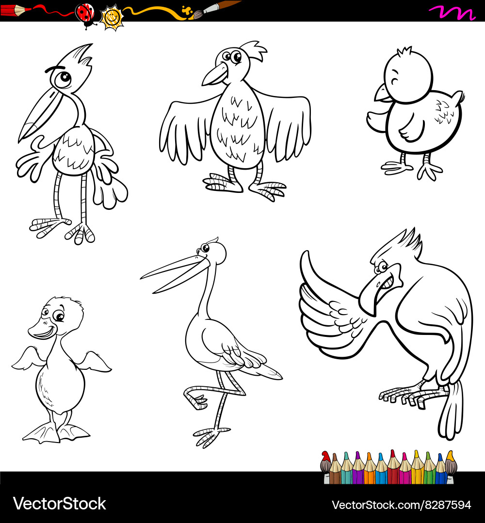 Birds cartoon coloring page Royalty Free Vector Image