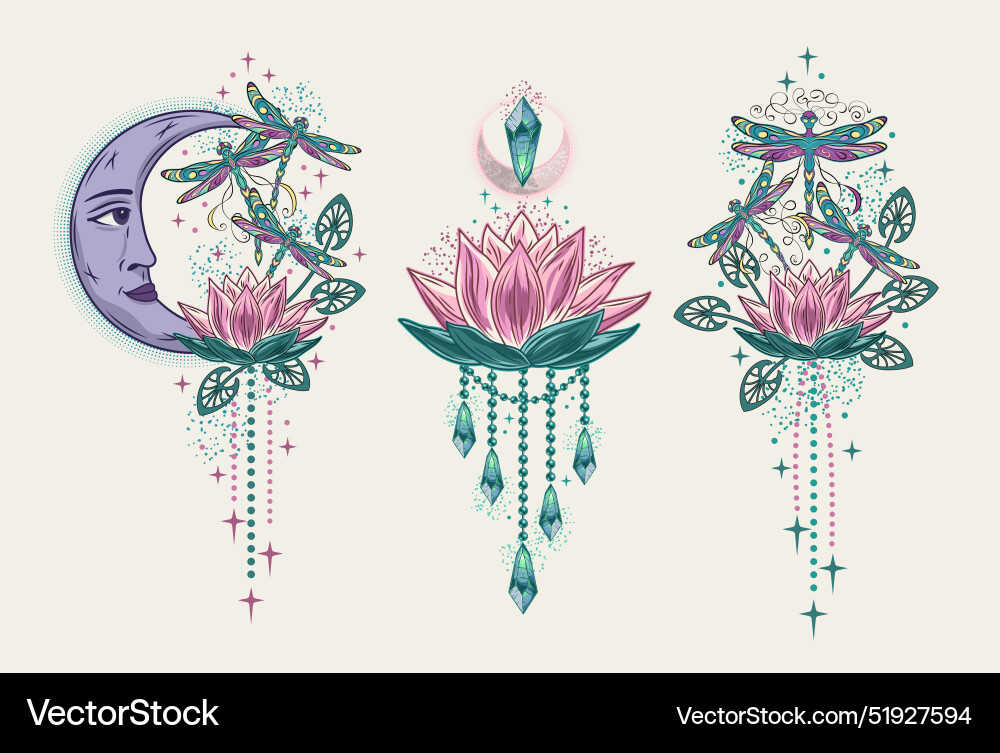 Mysterious labels with dragonfly lotus moon Vector Image