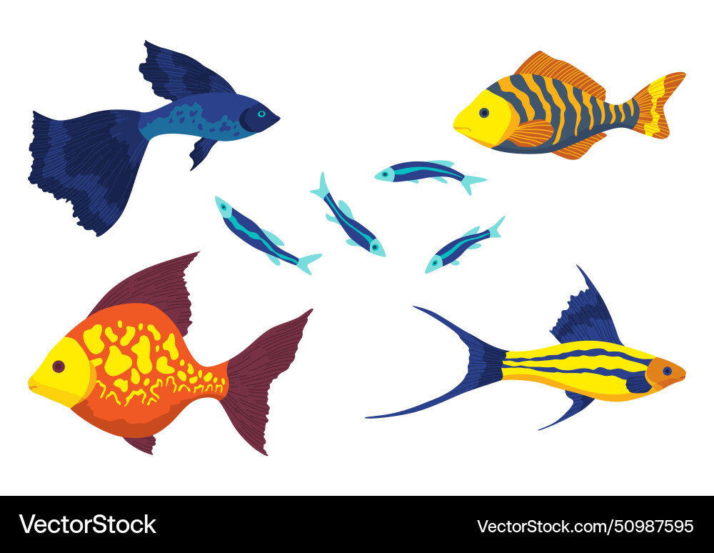 Aquarium fish set beautiful underwater characters Vector Image