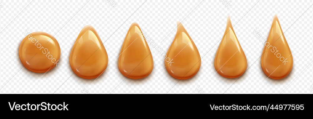 Caramel drops toffee sugar caramelization drips Vector Image