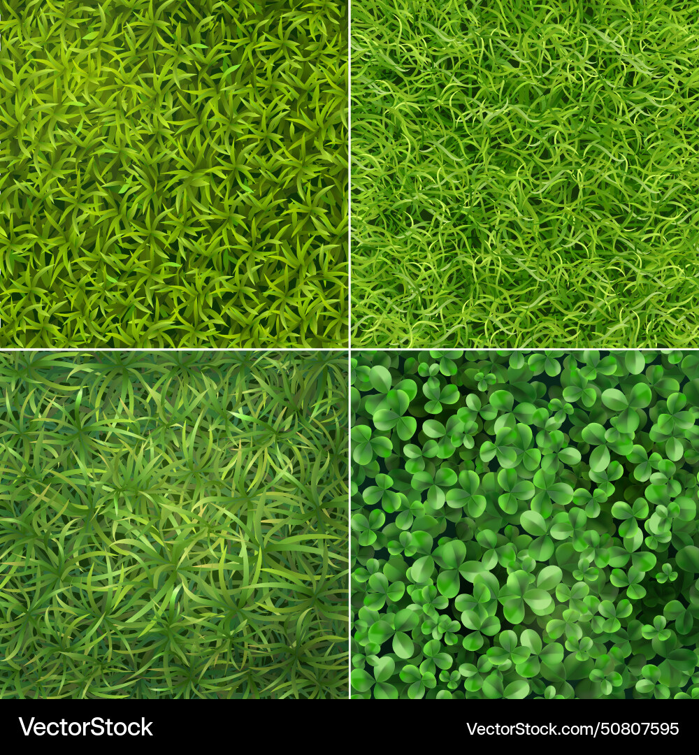 Green grass realistic set Royalty Free Vector Image