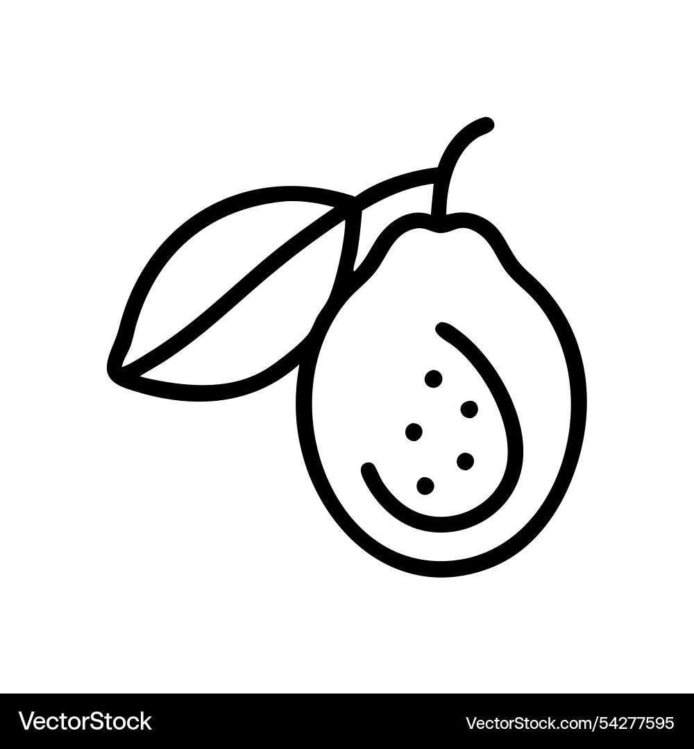 Loquat icon fruits Royalty Free Vector Image - VectorStock
