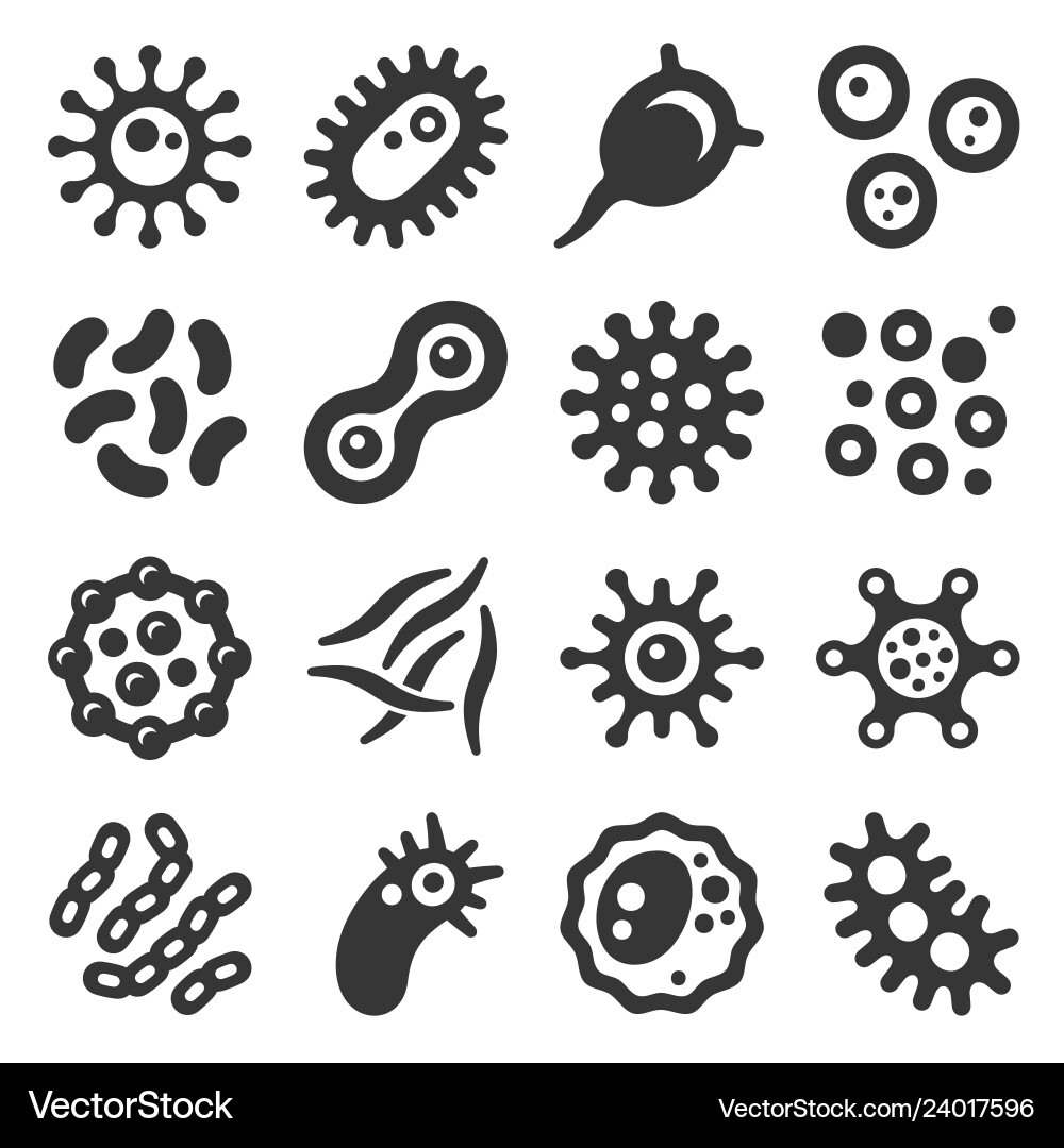 Cocci Vector Images (over 1,400)