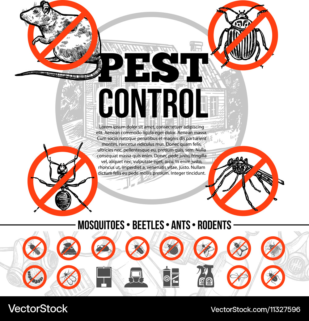 Pest control infographics Royalty Free Vector Image
