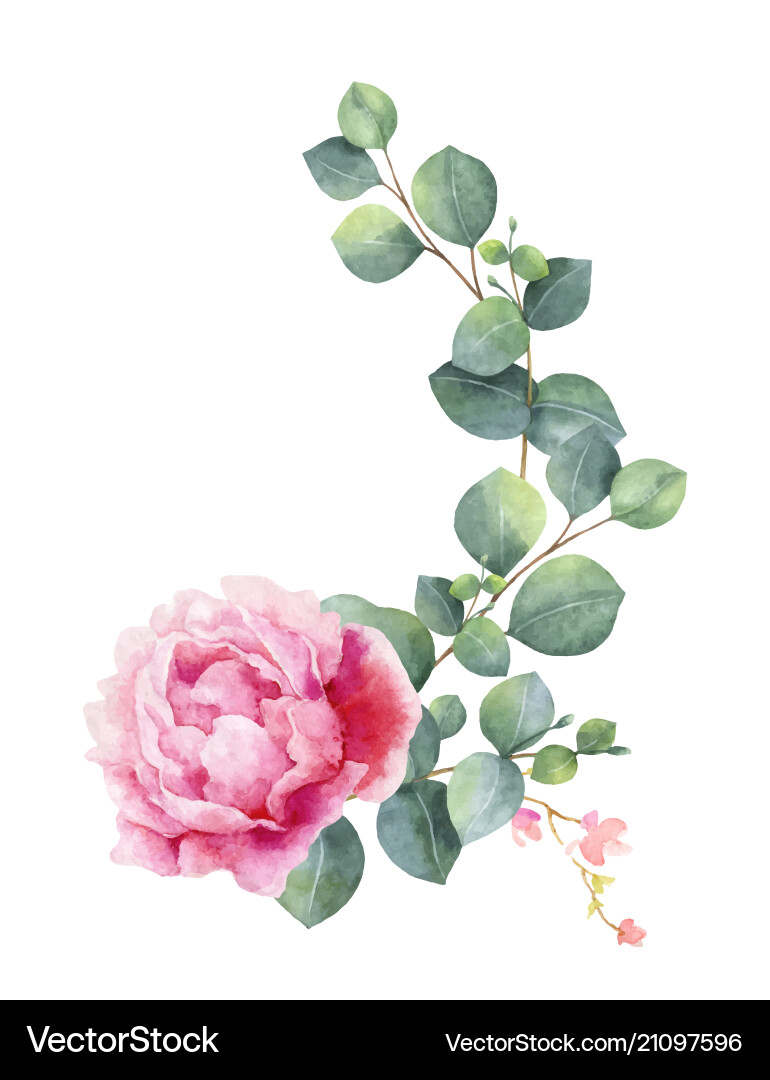 Watercolor hand painting Royalty Free Vector Image