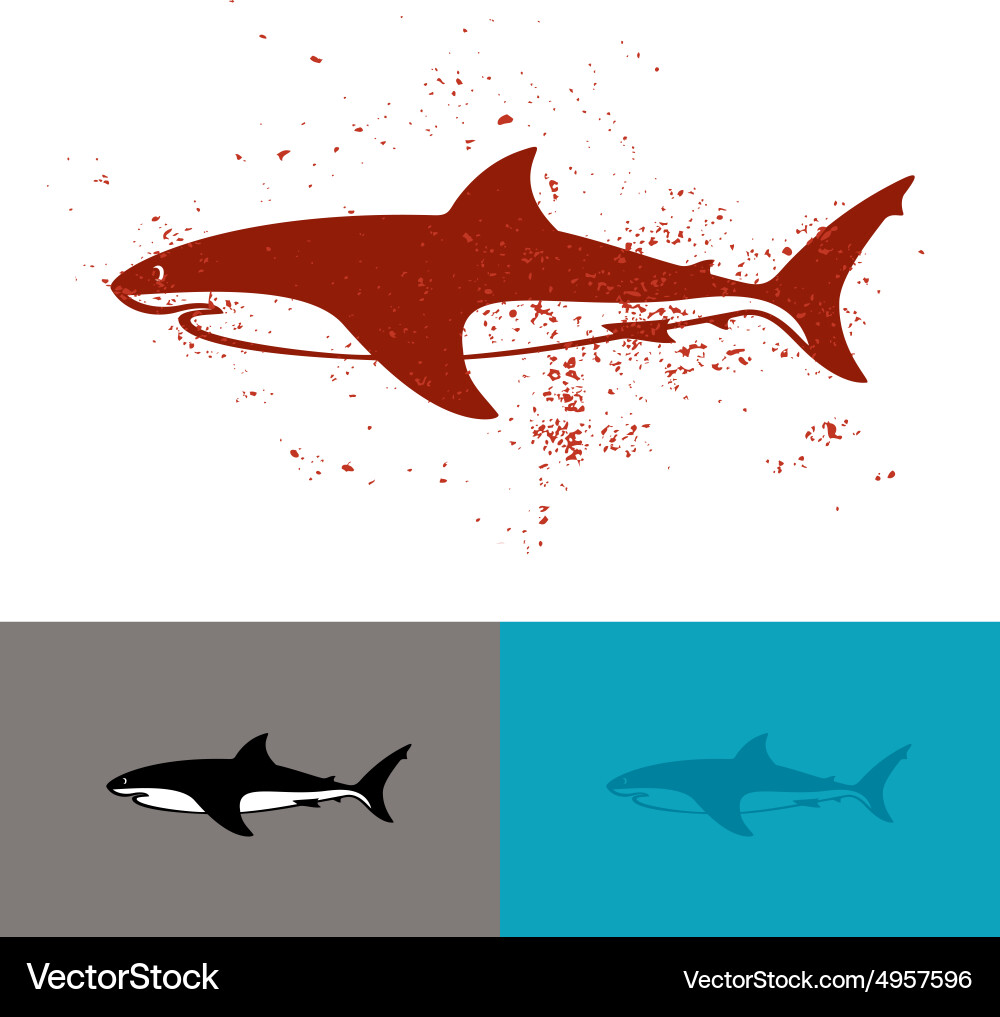 White shark logo Royalty Free Vector Image - VectorStock