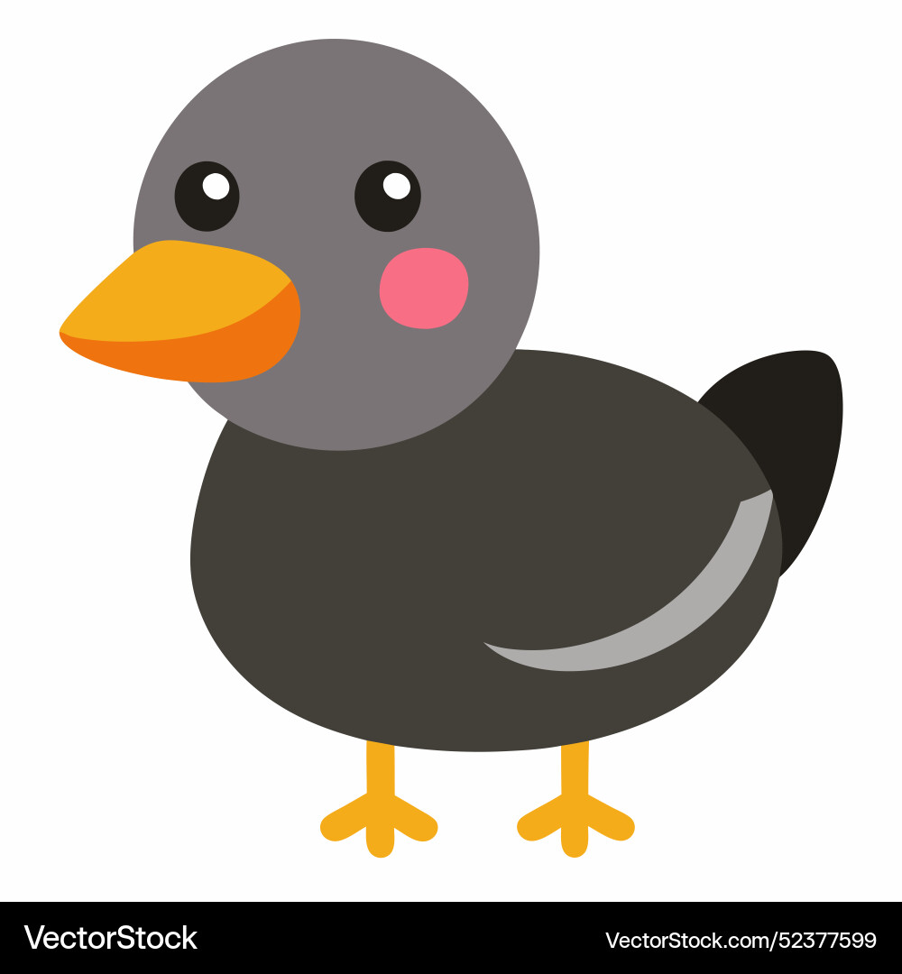 Coot duck looks kawaii Royalty Free Vector Image