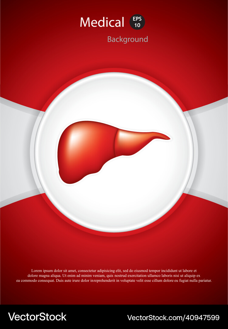 Liver Royalty Free Vector Image - VectorStock