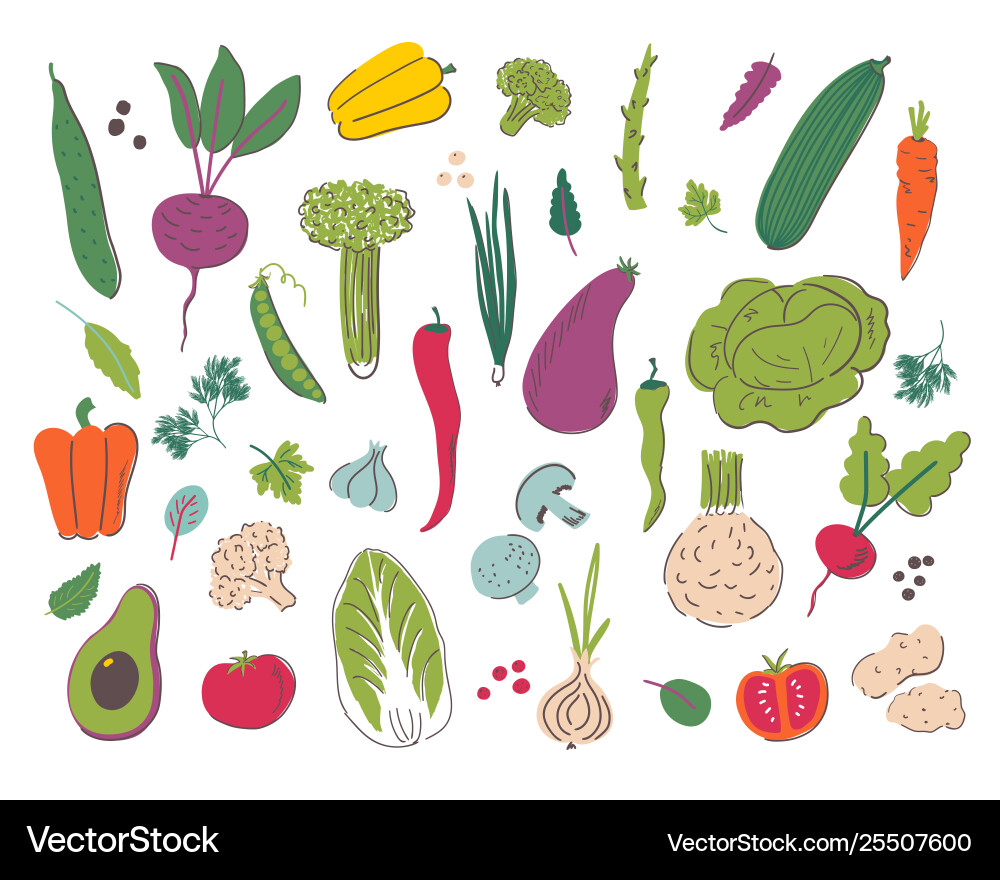 Vegetables hand draw set Royalty Free Vector Image