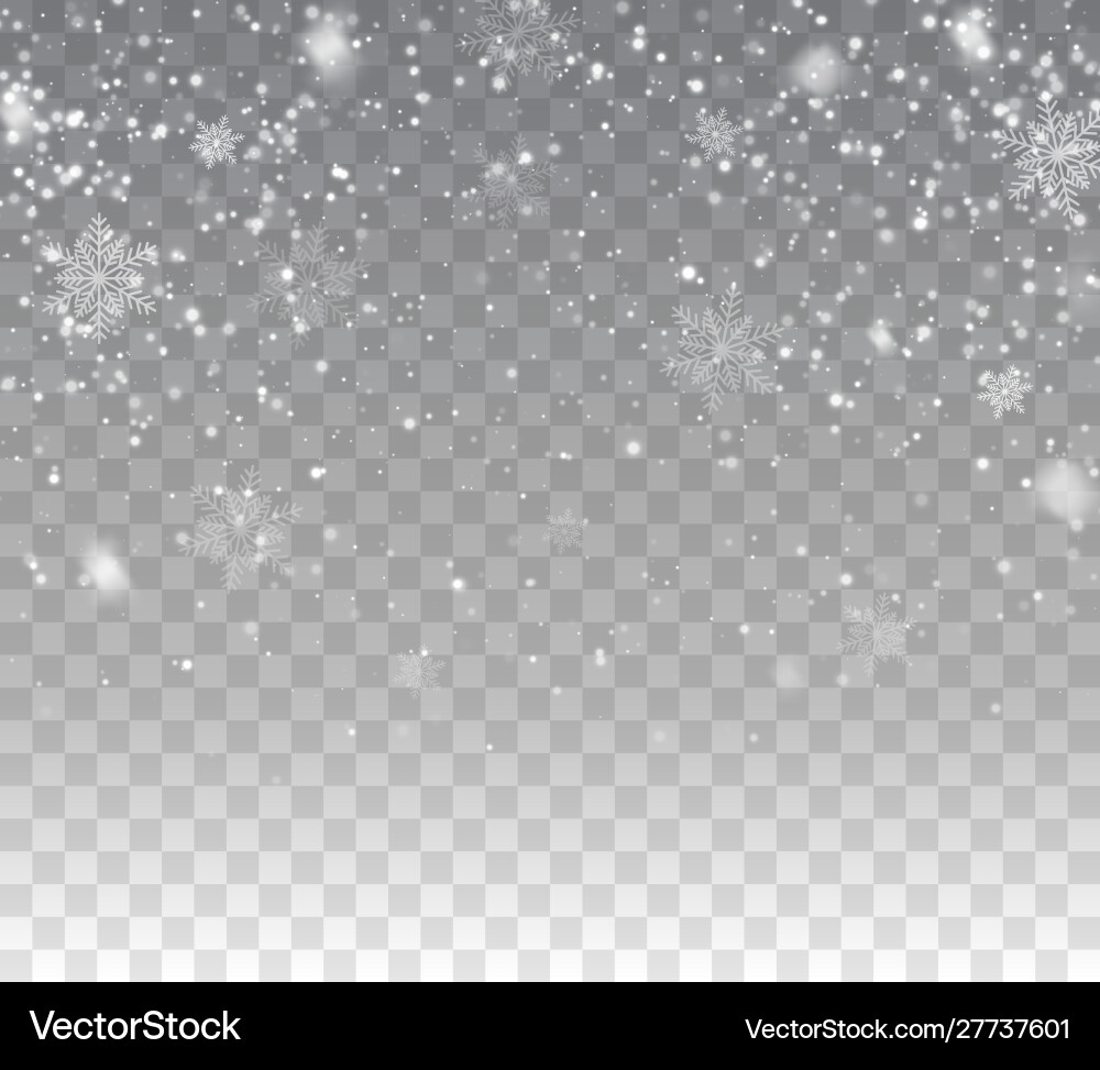 Falling snow overlay background Royalty Free Vector Image