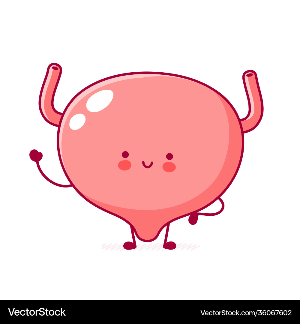 Cute happy funny human bladder organ character Vector Image