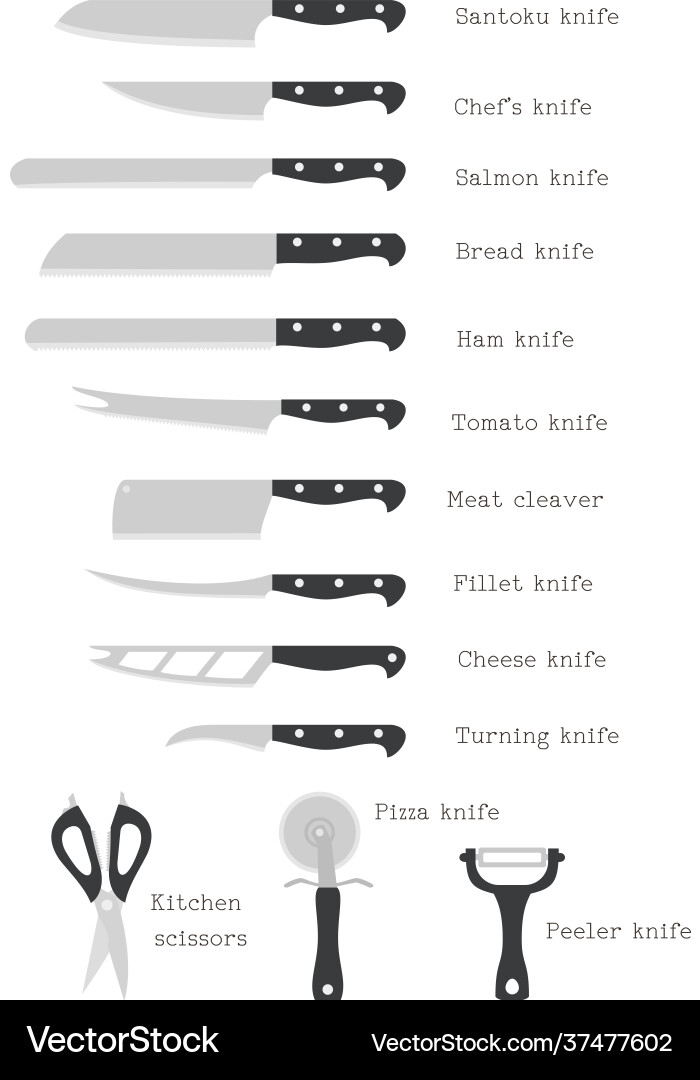 Kitchen knives set with signature names on white Vector Image