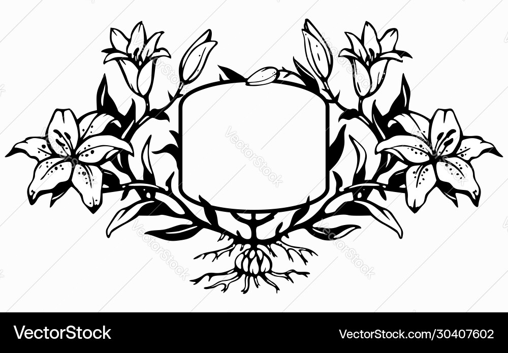Lily frame Royalty Free Vector Image - VectorStock