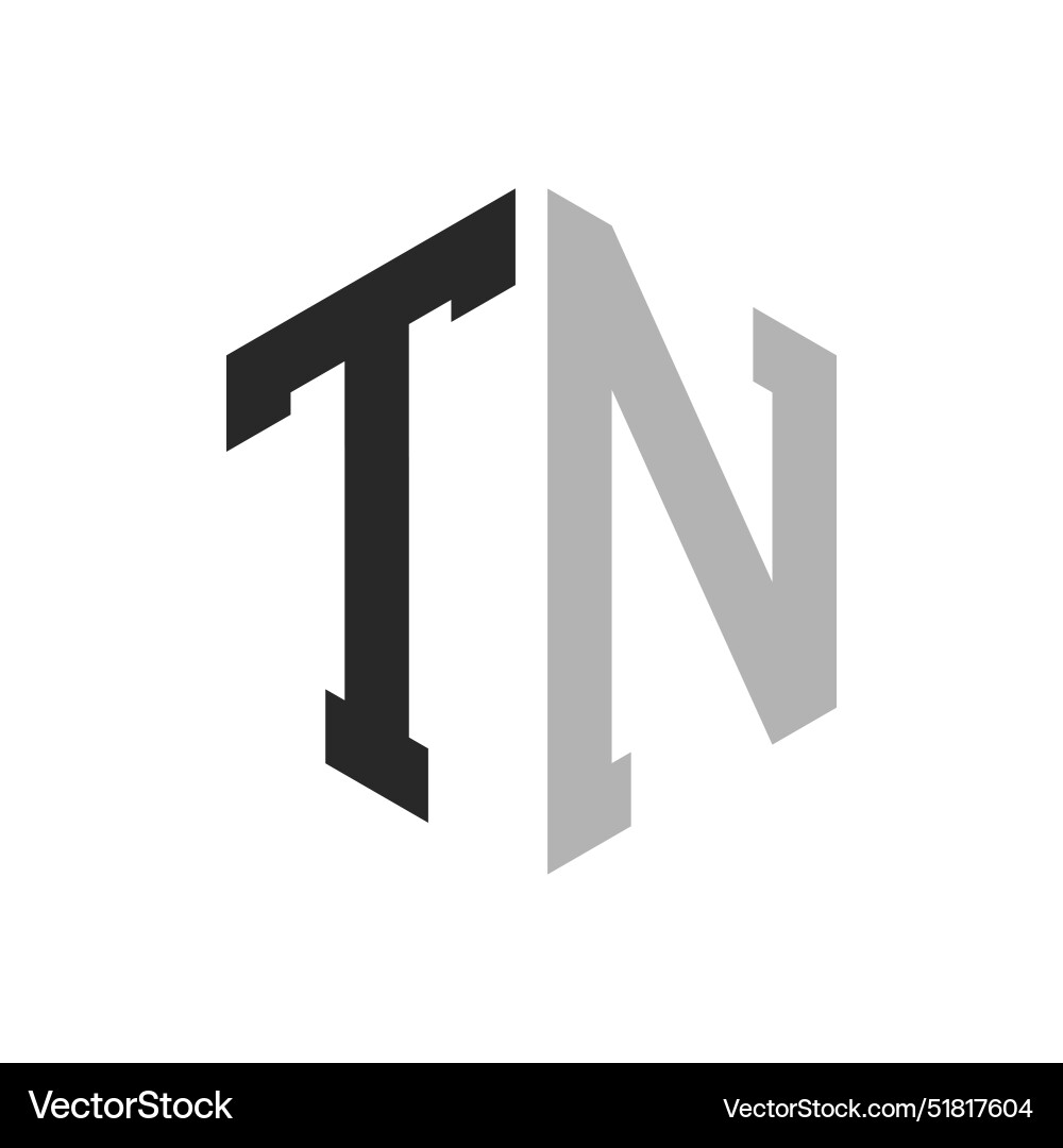 Modern unique hexagon letter tn logo design Vector Image