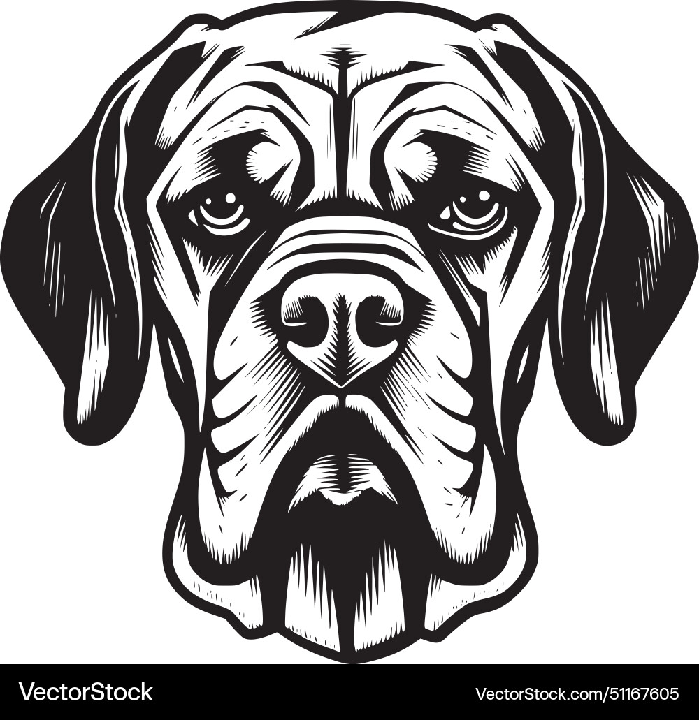 Boxer - black and white isolated icon Royalty Free Vector